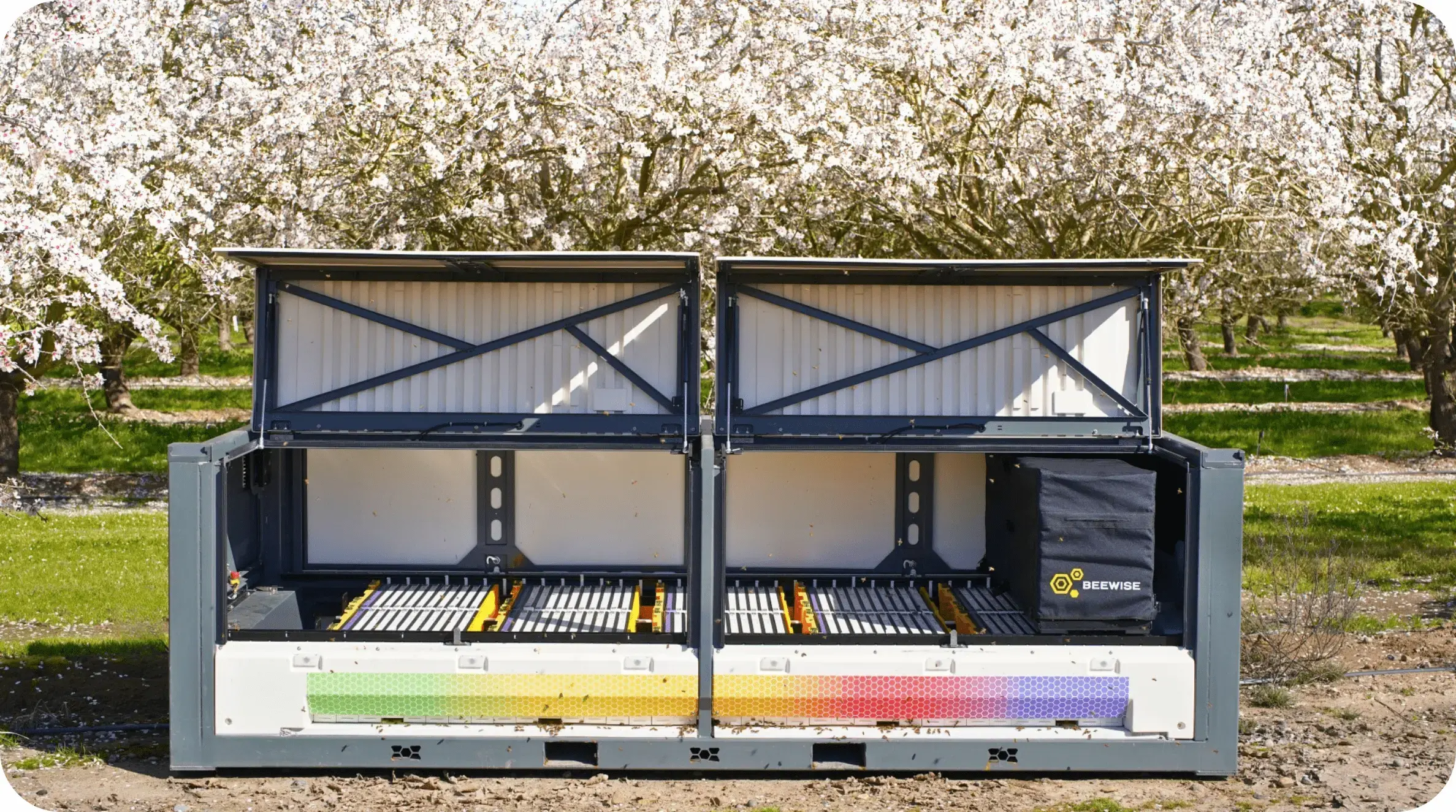 AI and Robotic Powered Hives for Beekeepers | Beewise